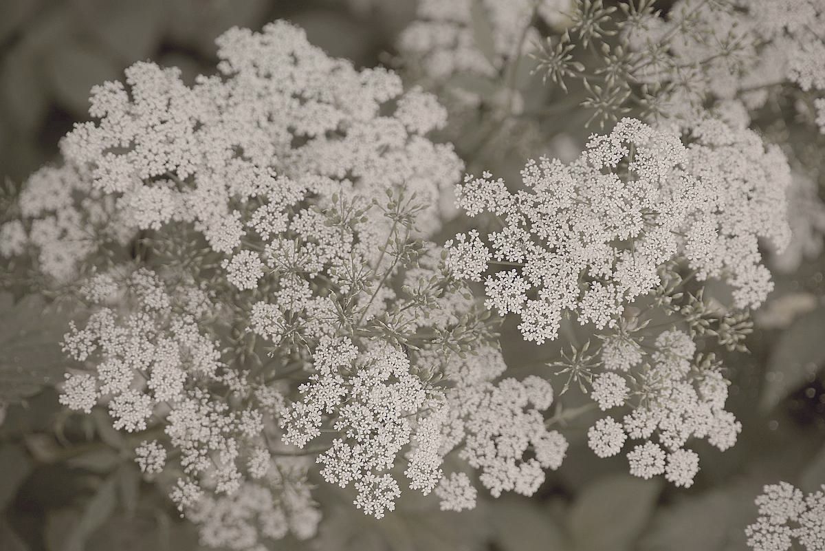 Duzen oder siezen: Wie spreche ich meine Zielgruppe an?
